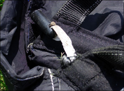 Peter Lynn Venom - Kites - Extreme Kites