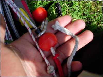 Peter Lynn Venom - Kites - Extreme Kites